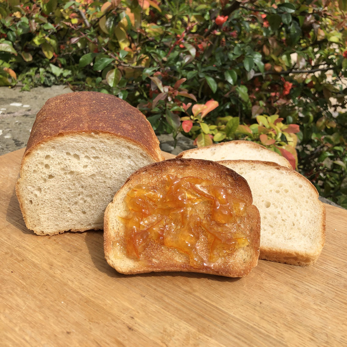 Kitty and Al Tait Breadsong: How Baking Changed our Lives. - Vivien ...